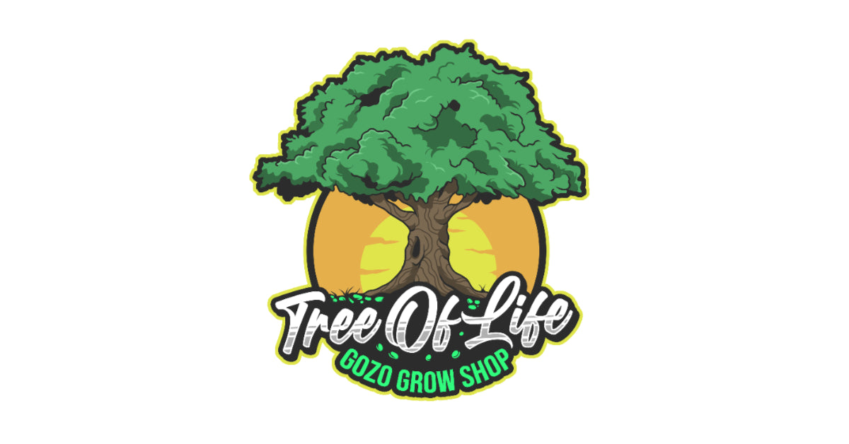 RAW Organic Connoisseur 1 1/4 With Tips – Tree Of Life Growshop - Gozo